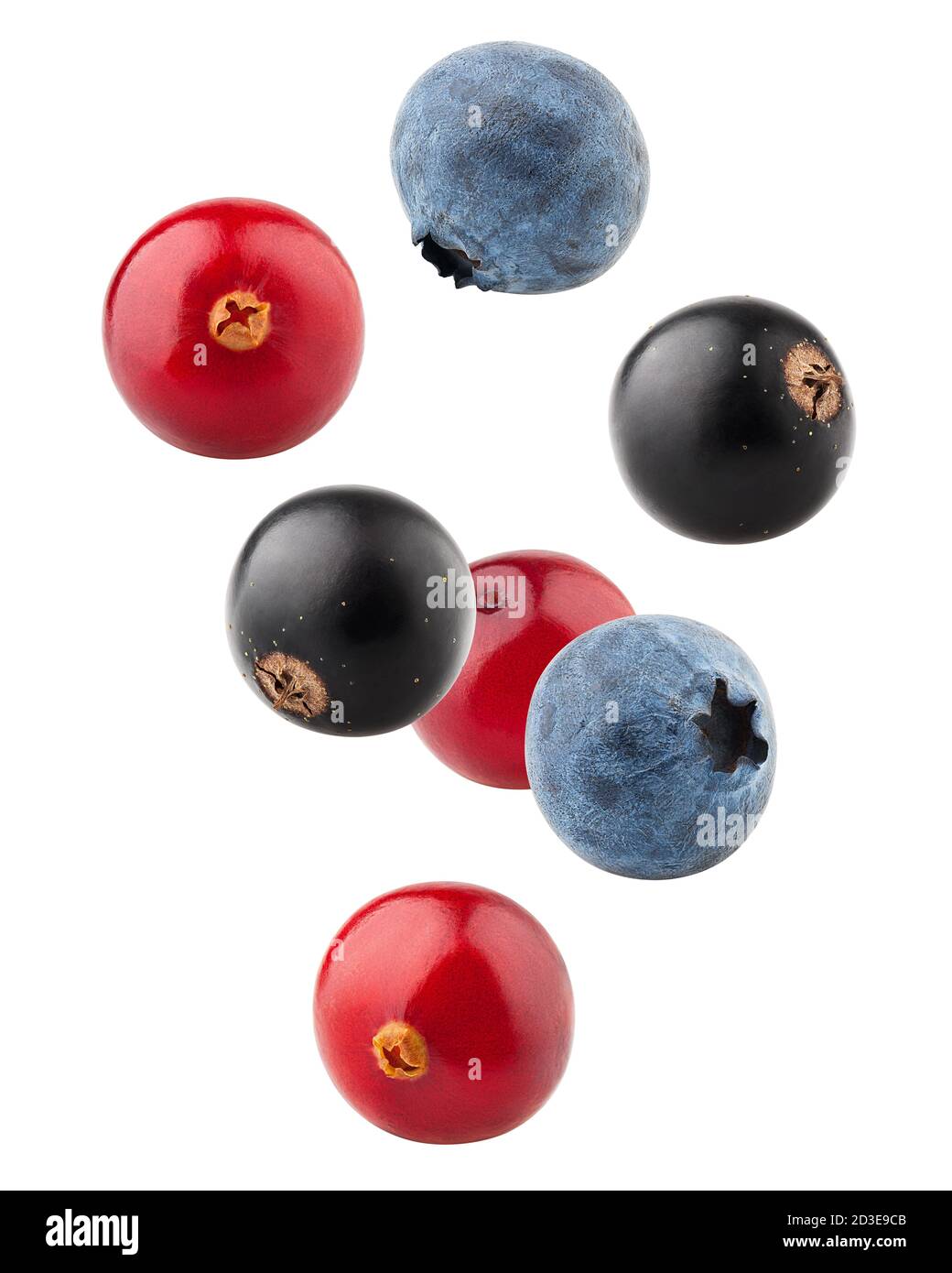 Falling berries, cranberry, blueberry, black currant, clipping path ...
