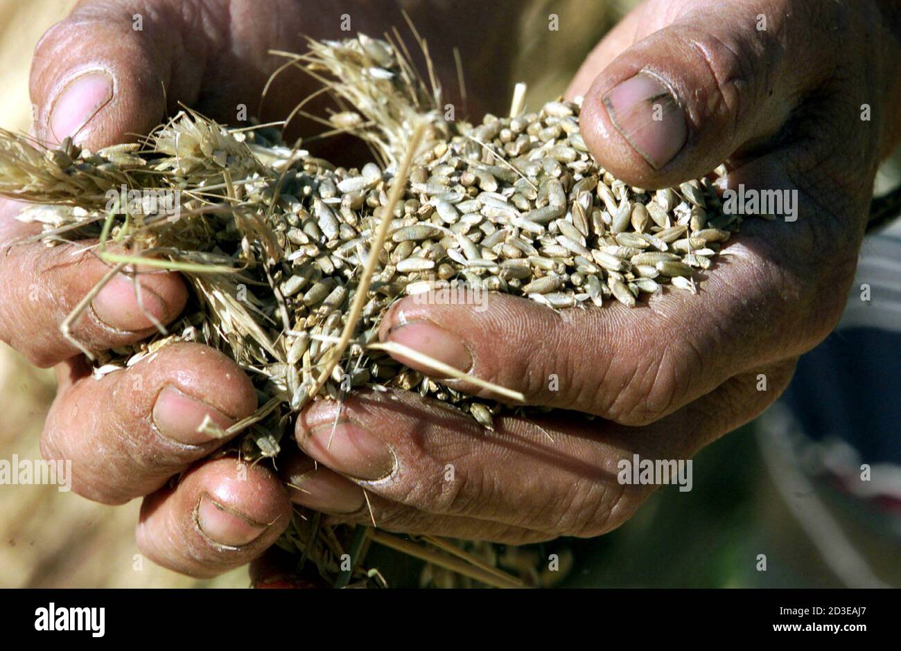 Albania mountain harvest hi-res stock photography and images - Alamy