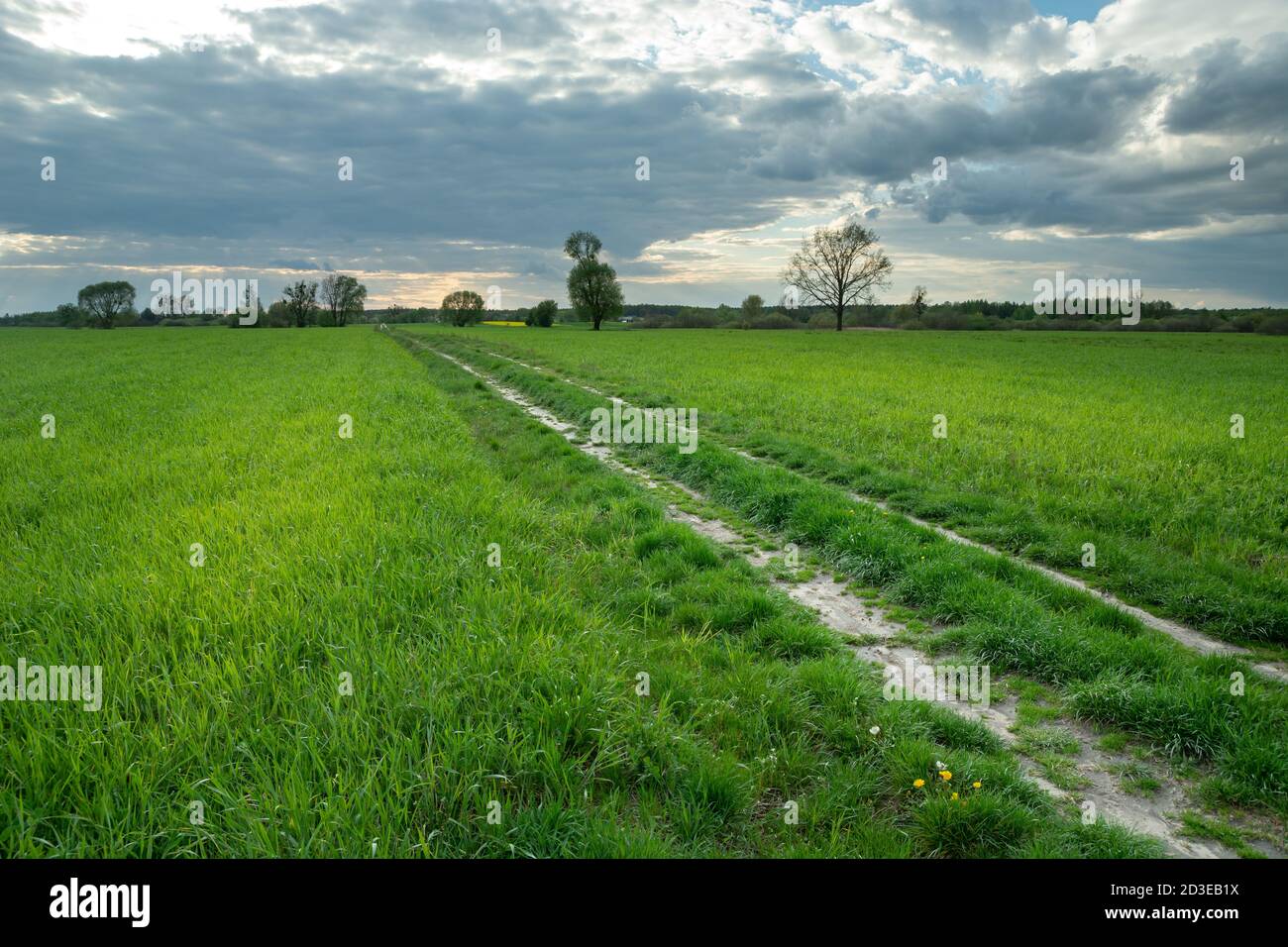 Dark green grass hi-res stock photography and images - Alamy