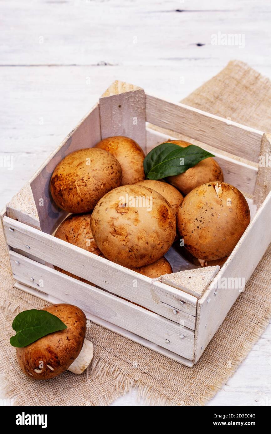 Whole brown royal champignon mushrooms in crafted wooden crate. Raw ...