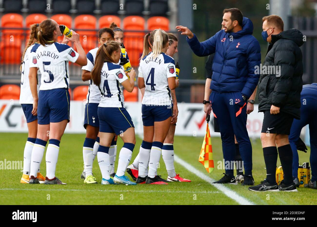 Lionesses head hi-res stock photography and images - Alamy