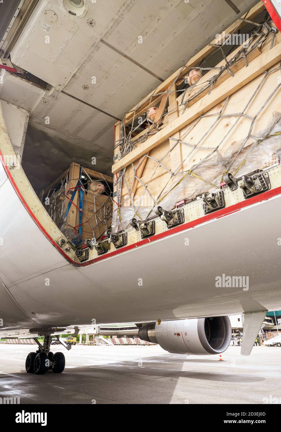 Livestock in wooden boxes secured by nettings being shipped in the ...
