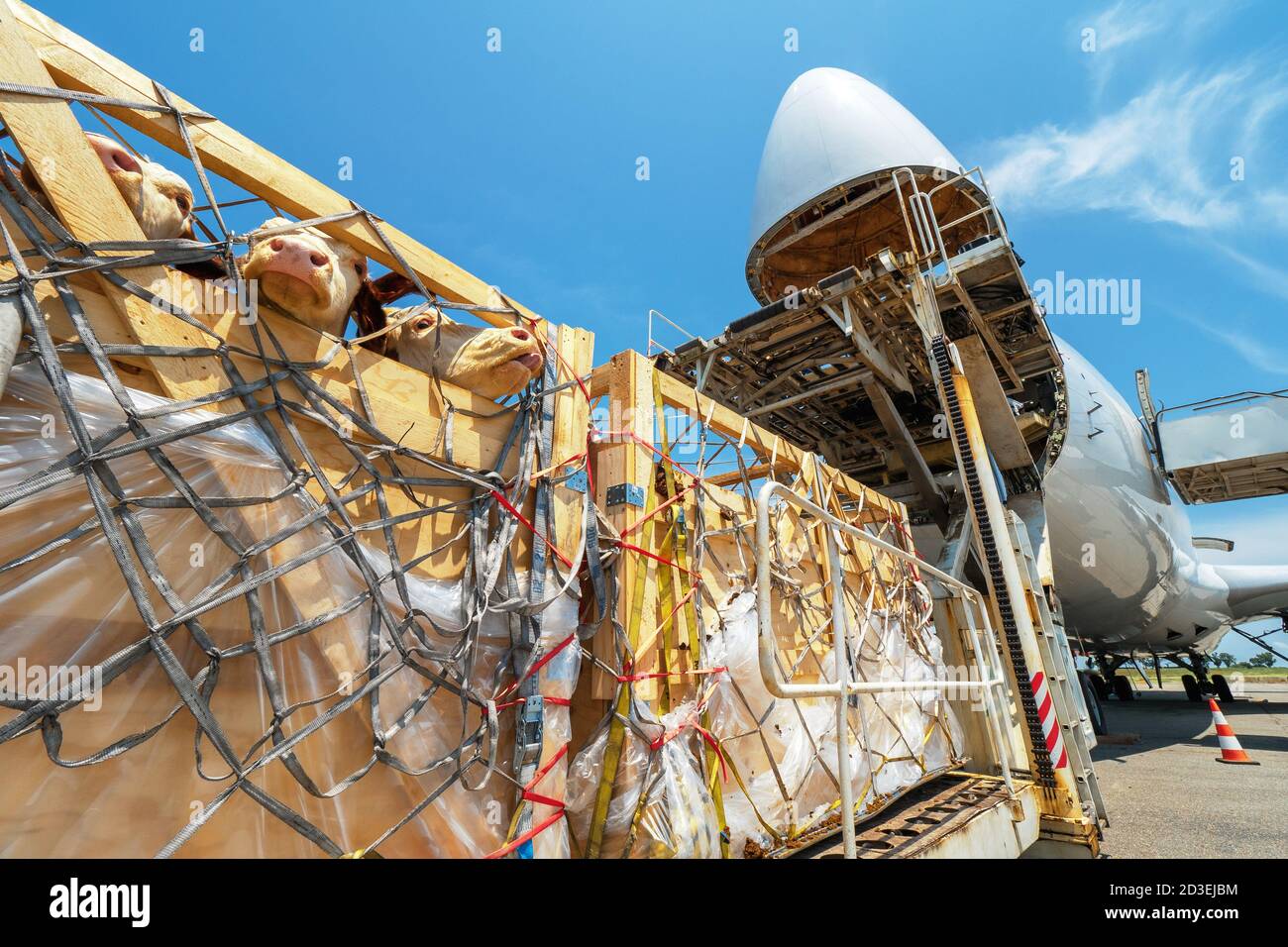 Cargo Plane Nose Open High Resolution Stock Photography and Images - Alamy