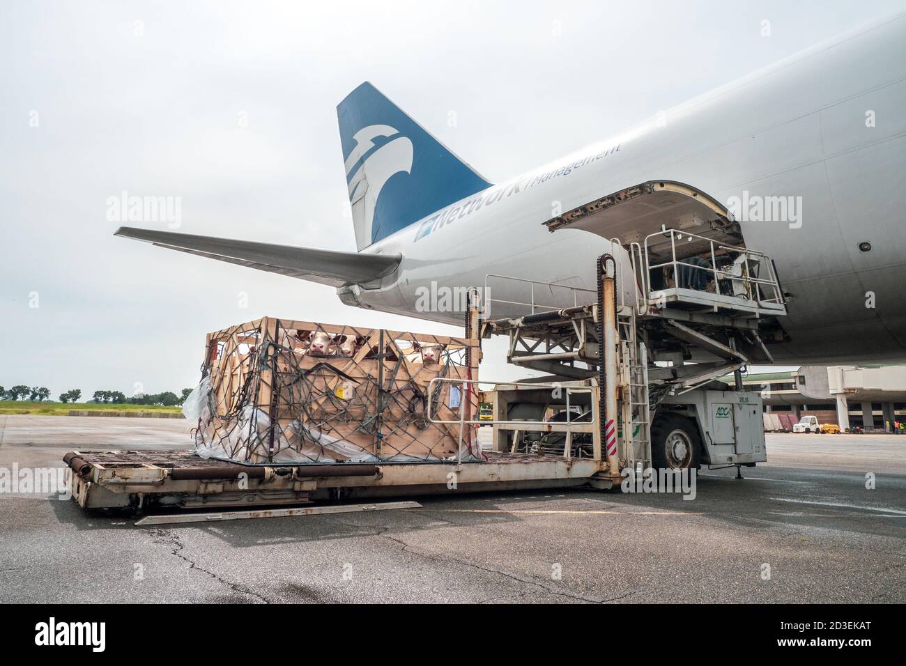Cargo Hold Airplane High Resolution Stock Photography and Images - Alamy