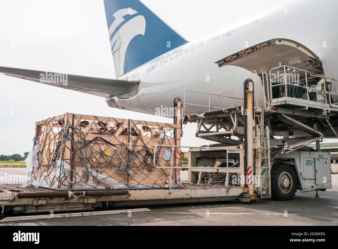 Cargo Hold Airplane High Resolution Stock Photography and Images - Alamy