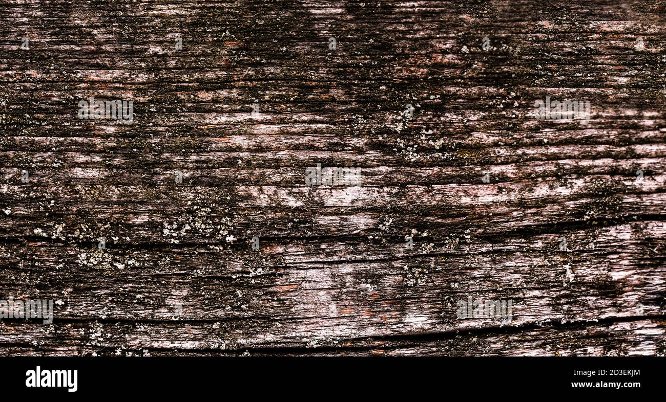 natural texture of old timber, old wood. Close-up Stock Photo - Alamy
