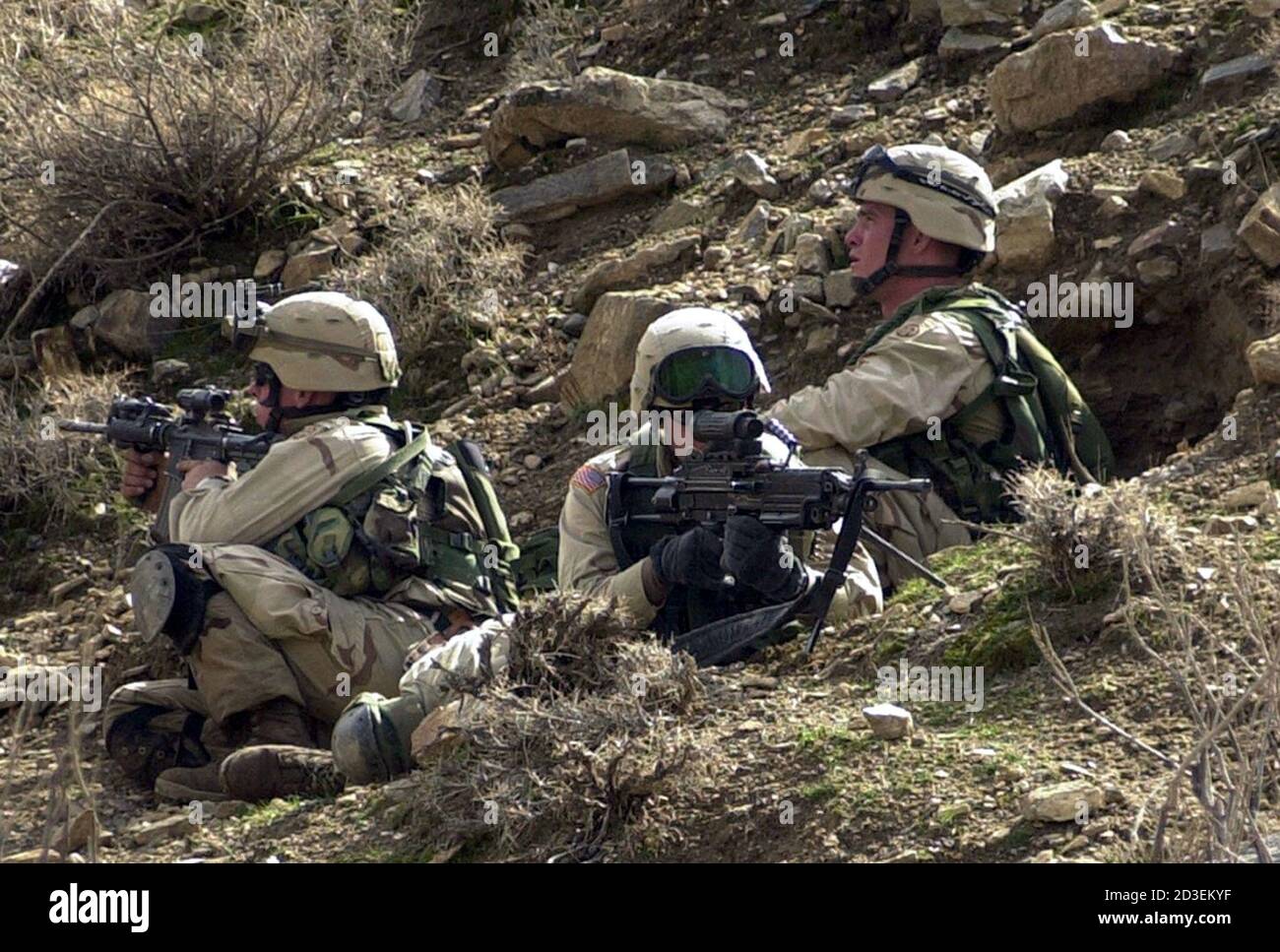 From Favila High Resolution Stock Photography and Images - Alamy