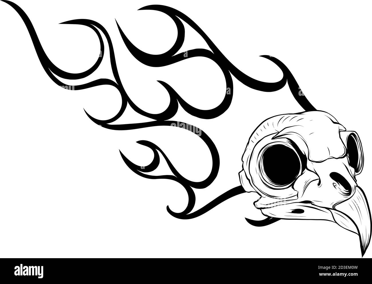 Bird skull engraving vector illustration. Bird bone head skull, occult ...
