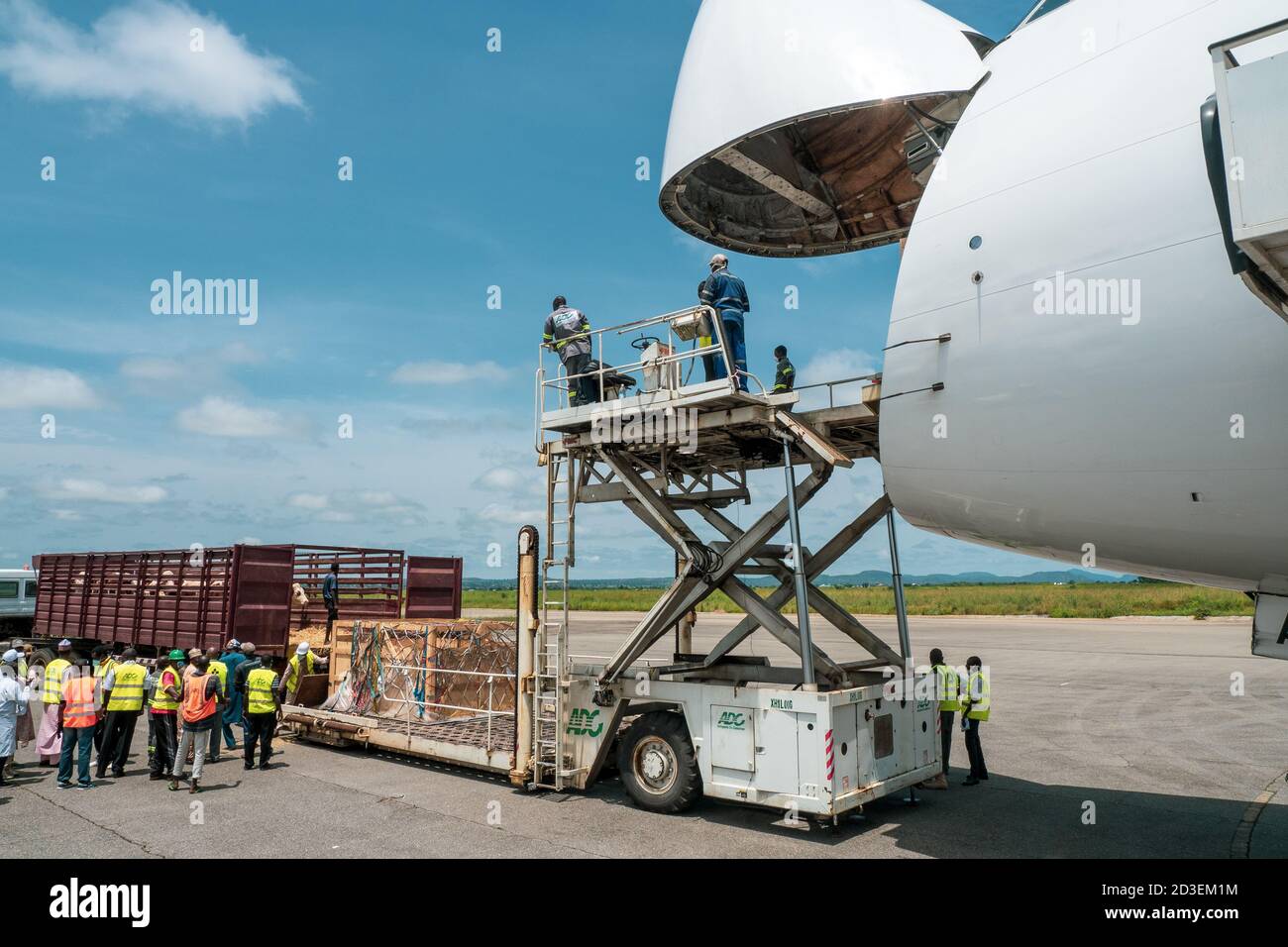 Livestock in wooden boxes secured by nettings being offloaded by a high ...