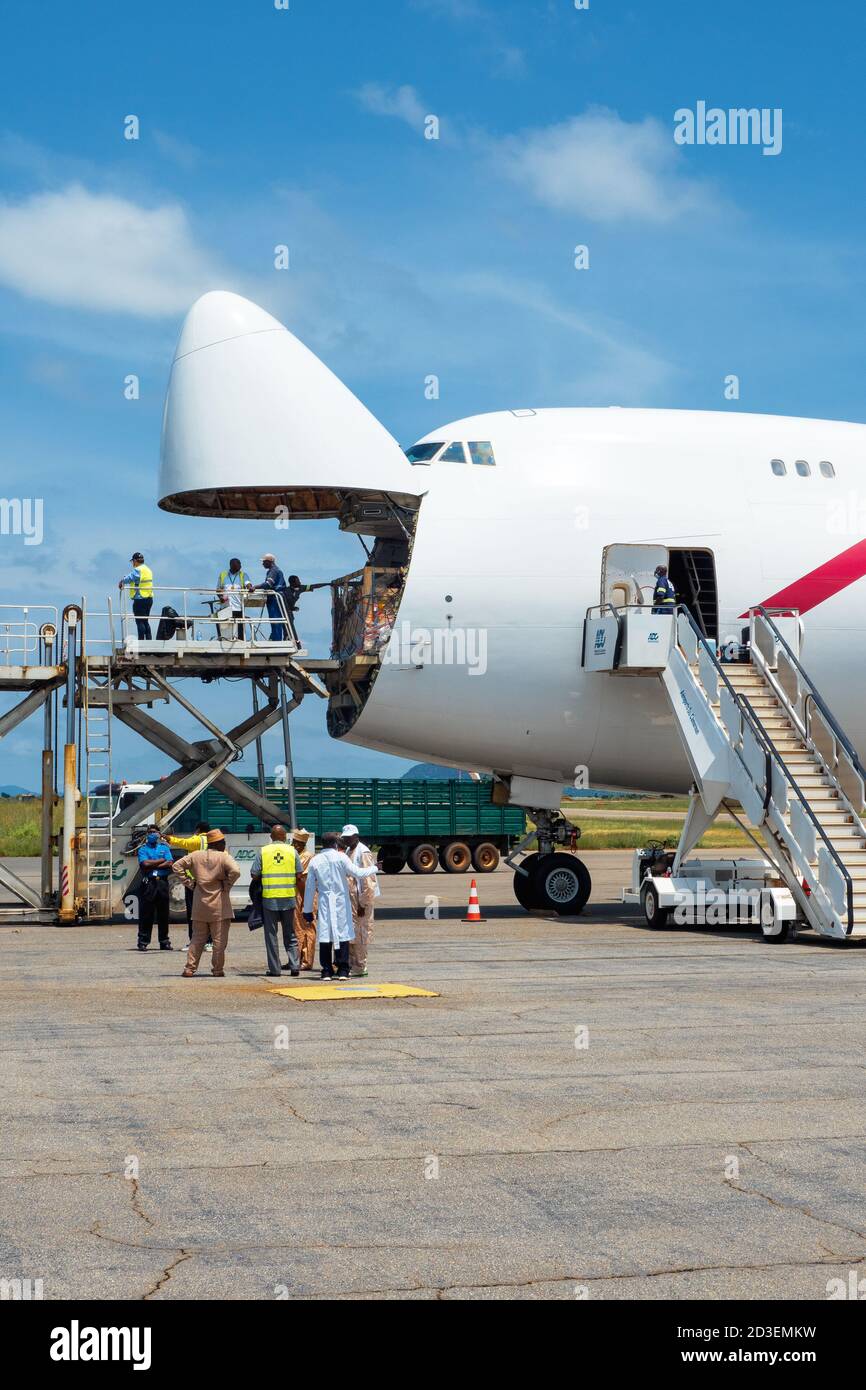 A Boeing B747 Jumbo Jet freighter aircraft with a wide open nose cargo ...