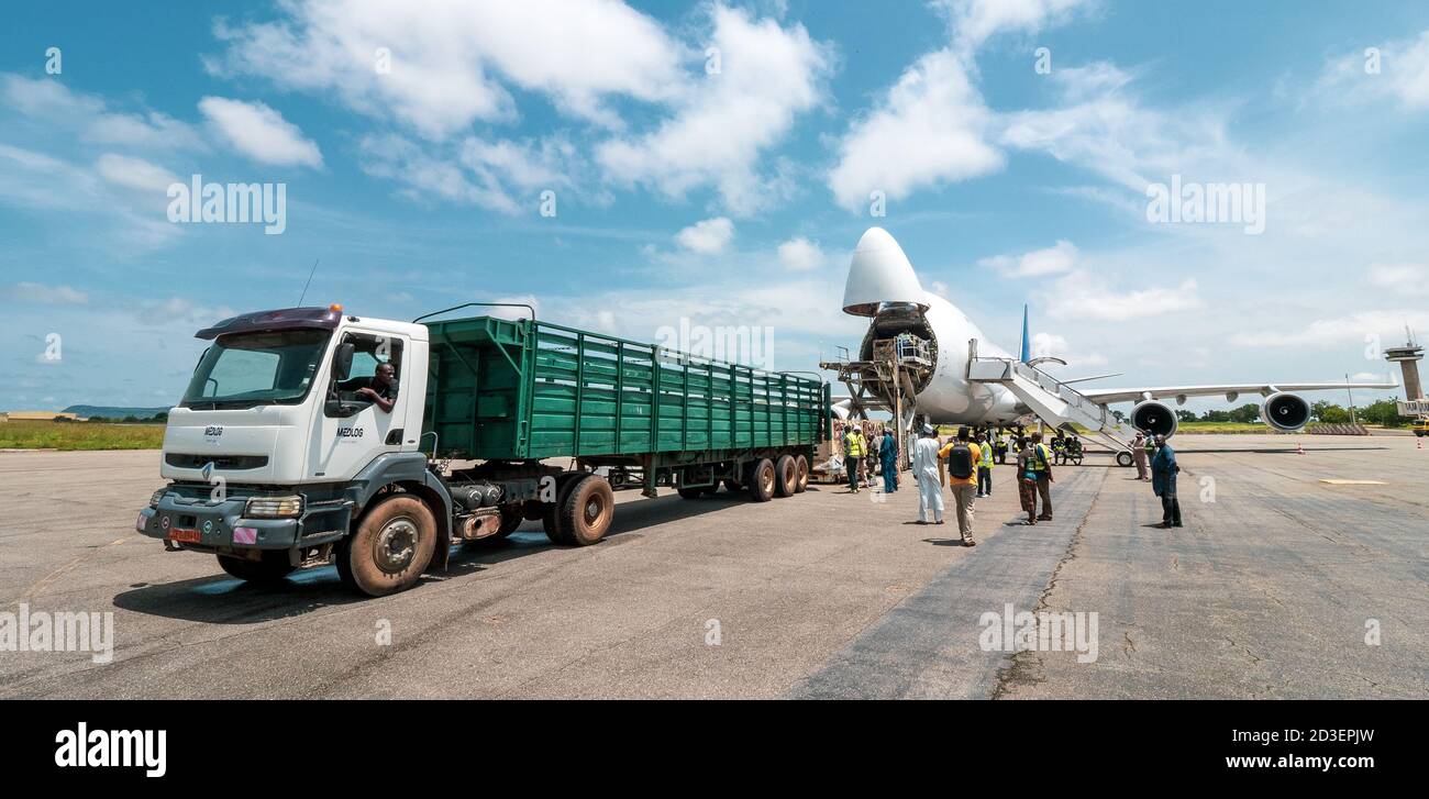 Livestock in wooden boxes being offloaded by a high-loader from a 747 ...