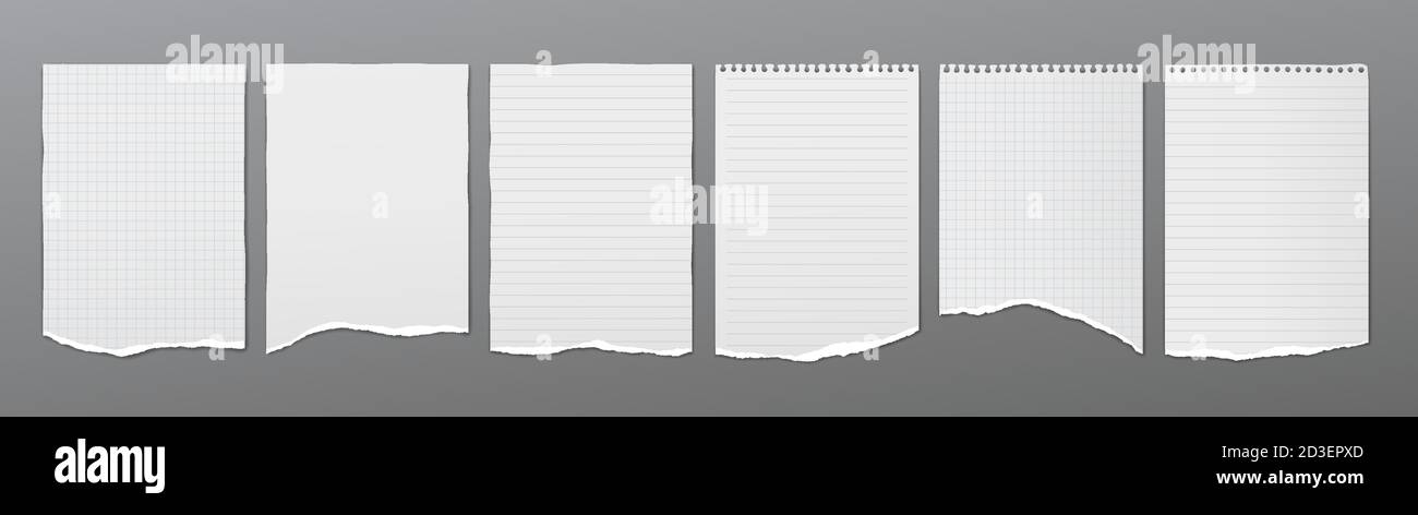 White lined and math note, notebook paper with torn edges stuck on dark ...