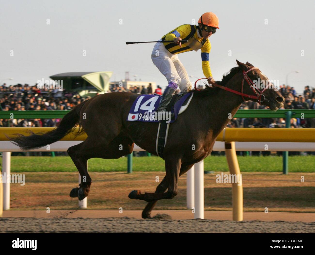 Japan cup and race and horse hi-res stock photography and images - Alamy