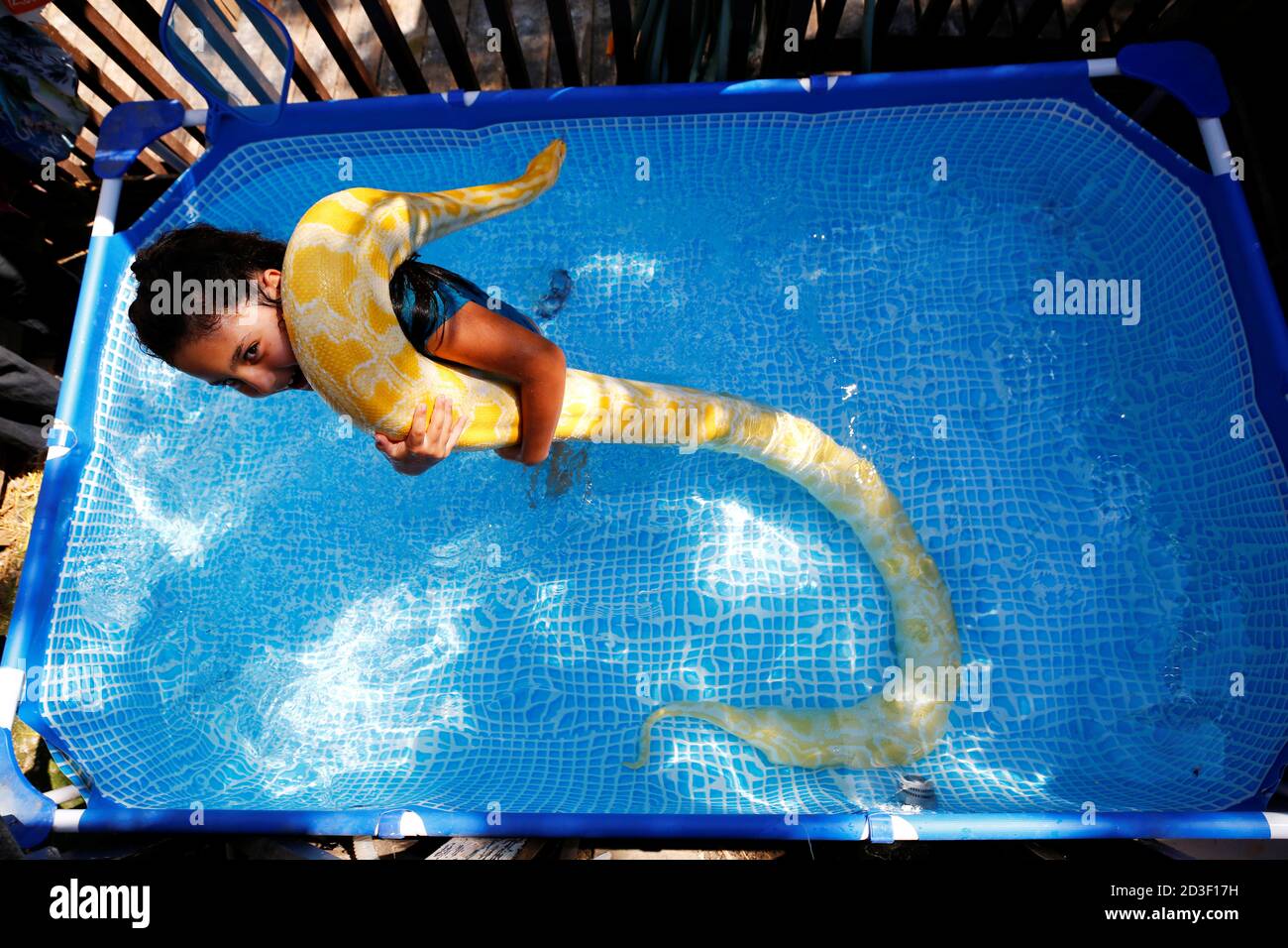 Python Pool High Resolution Stock Photography and Images - Alamy