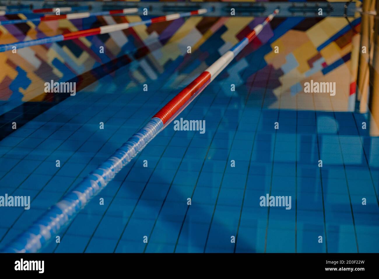 Indoor competition swimming pool whit swim lanes Stock Photo - Alamy