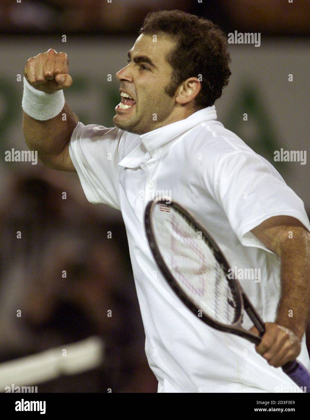 Pete sampras celebrates winning third set hi-res stock photography and ...