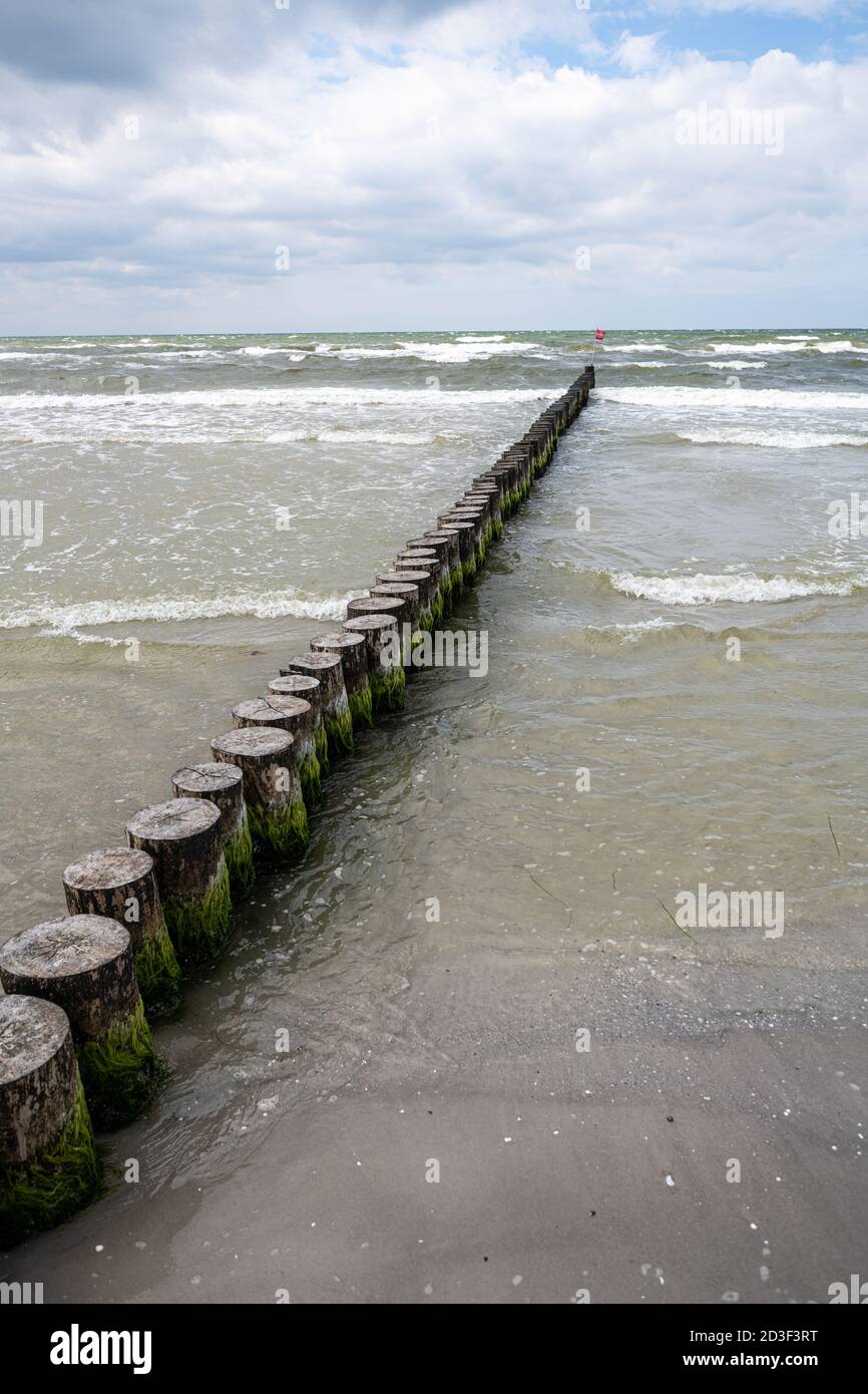 groynes in the baltic sea Stock Photo - Alamy