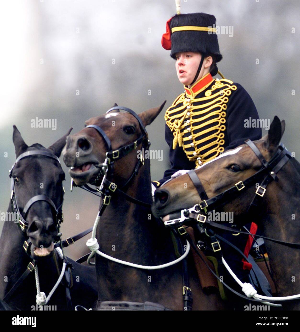The kings troop royal horse artillery march hi-res stock photography ...