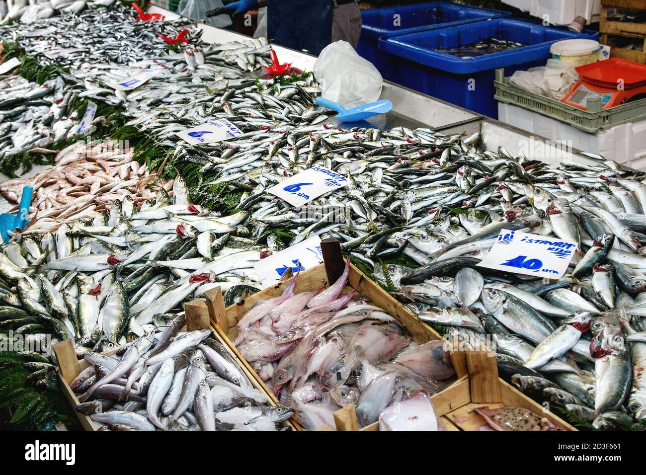 Turkish farmer market. Variety of fresh fish and shrimps with price on ...