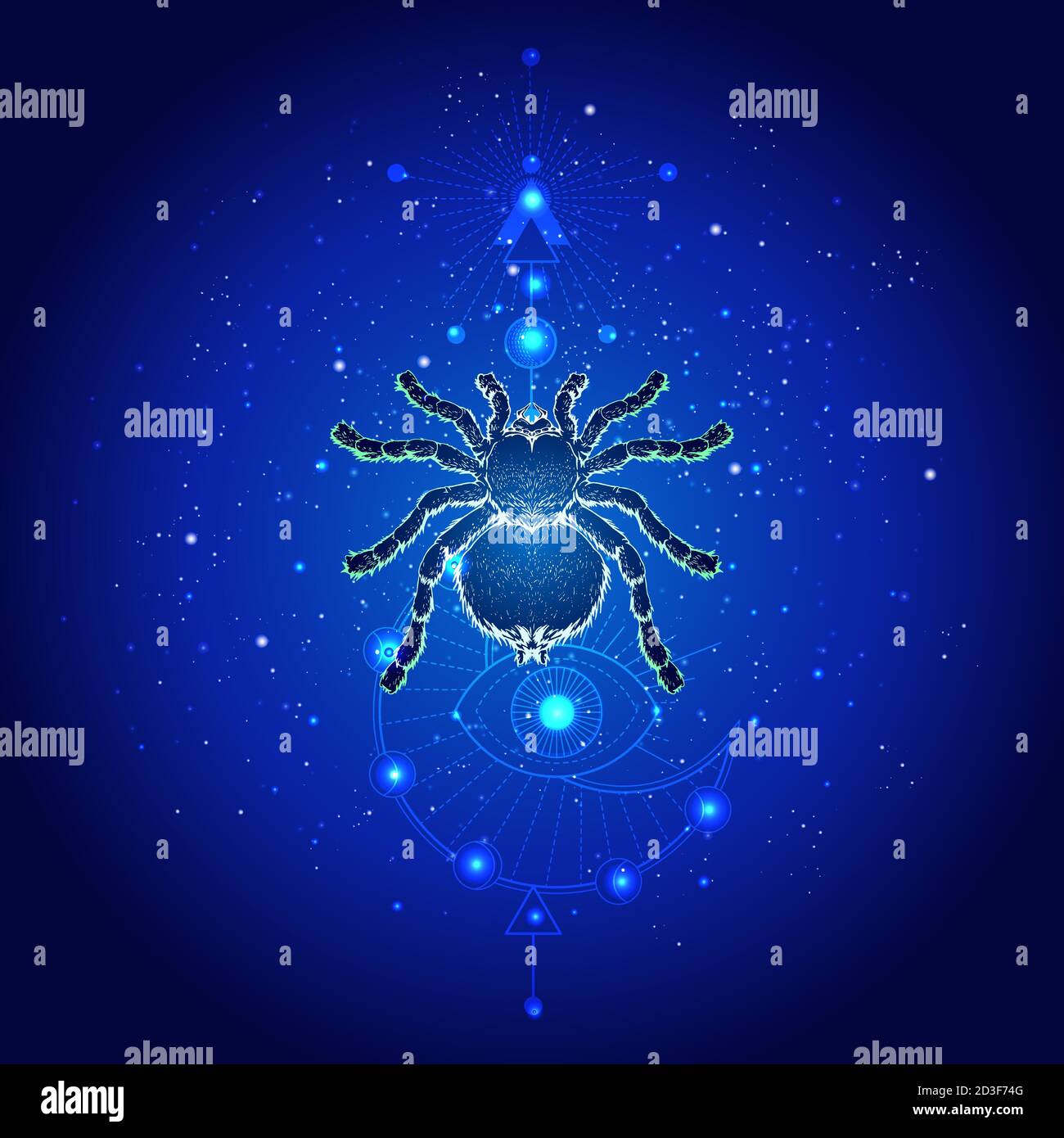 Spider symbols Stock Vector Images - Alamy