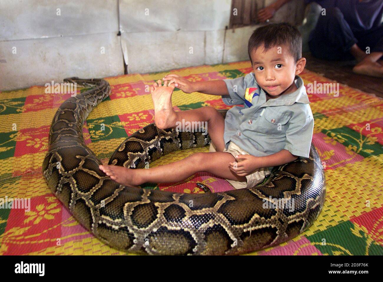 Four metre long hi-res stock photography and images - Alamy