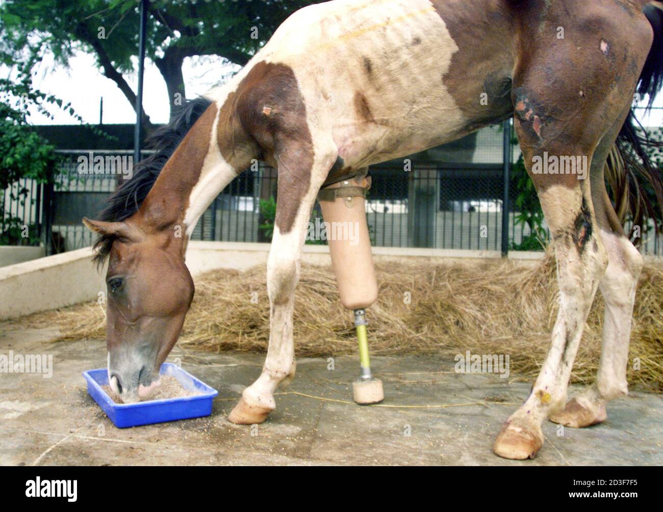 Month Bleeding High Resolution Stock Photography and Images - Alamy