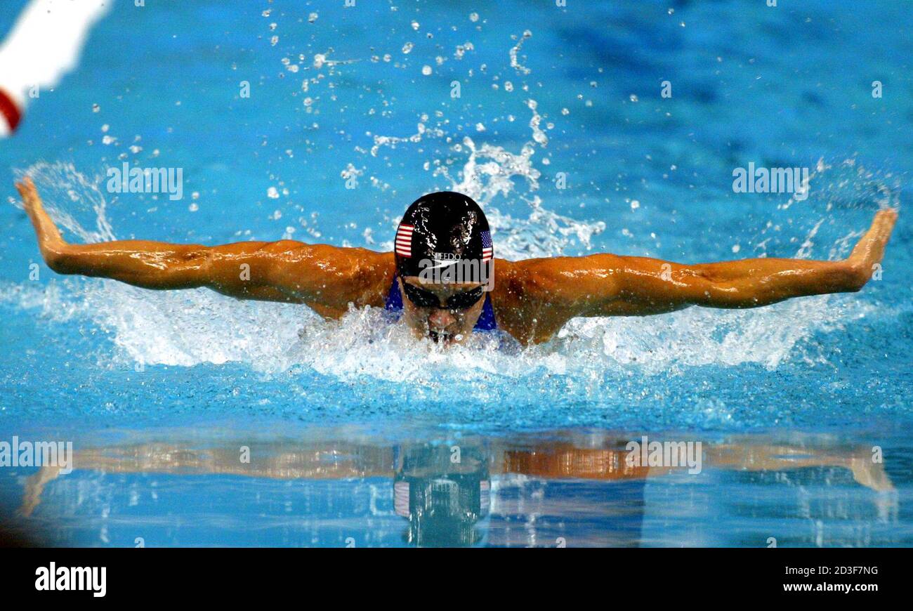 100 metre butterfly hi-res stock photography and images - Alamy