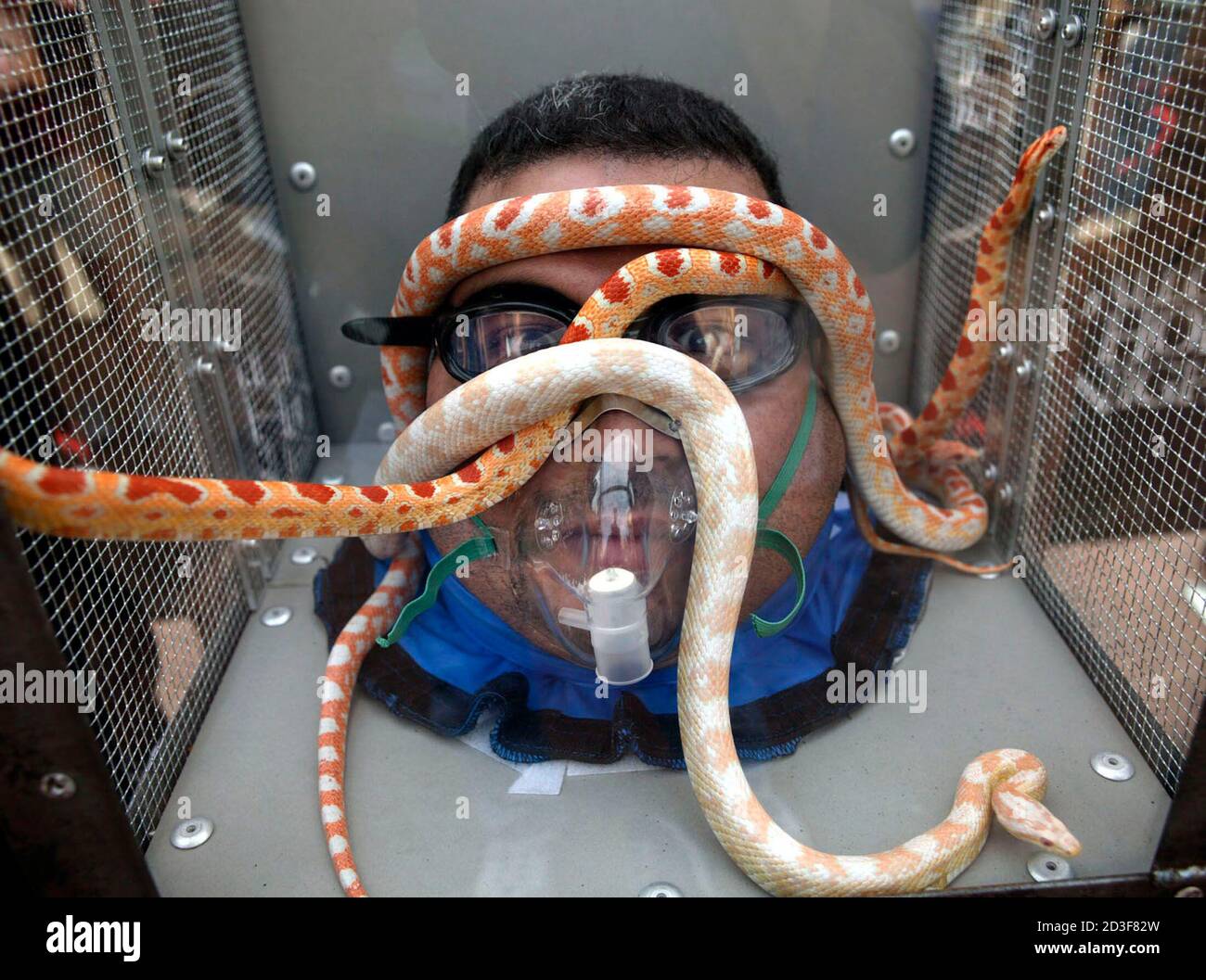 Fear Factor High Resolution Stock Photography and Images - Alamy