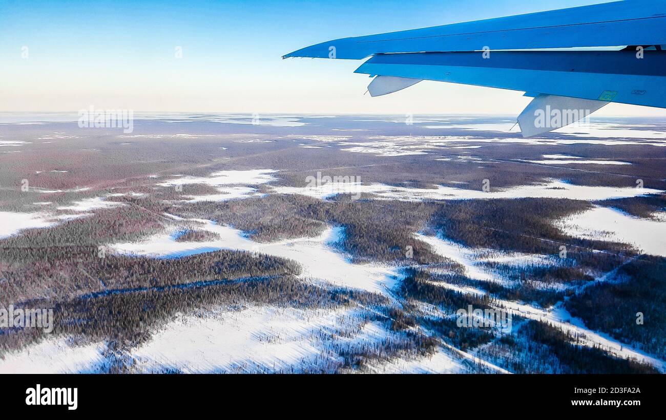 Siberian taiga forest hi-res stock photography and images - Alamy