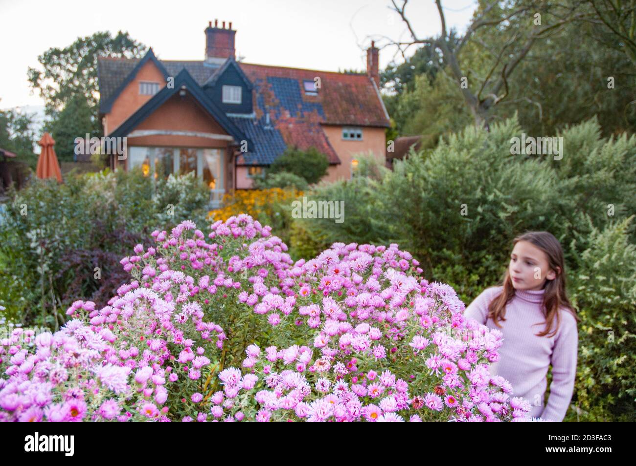 Young girl in a colourful country cottage garden with Suffolk, England ...