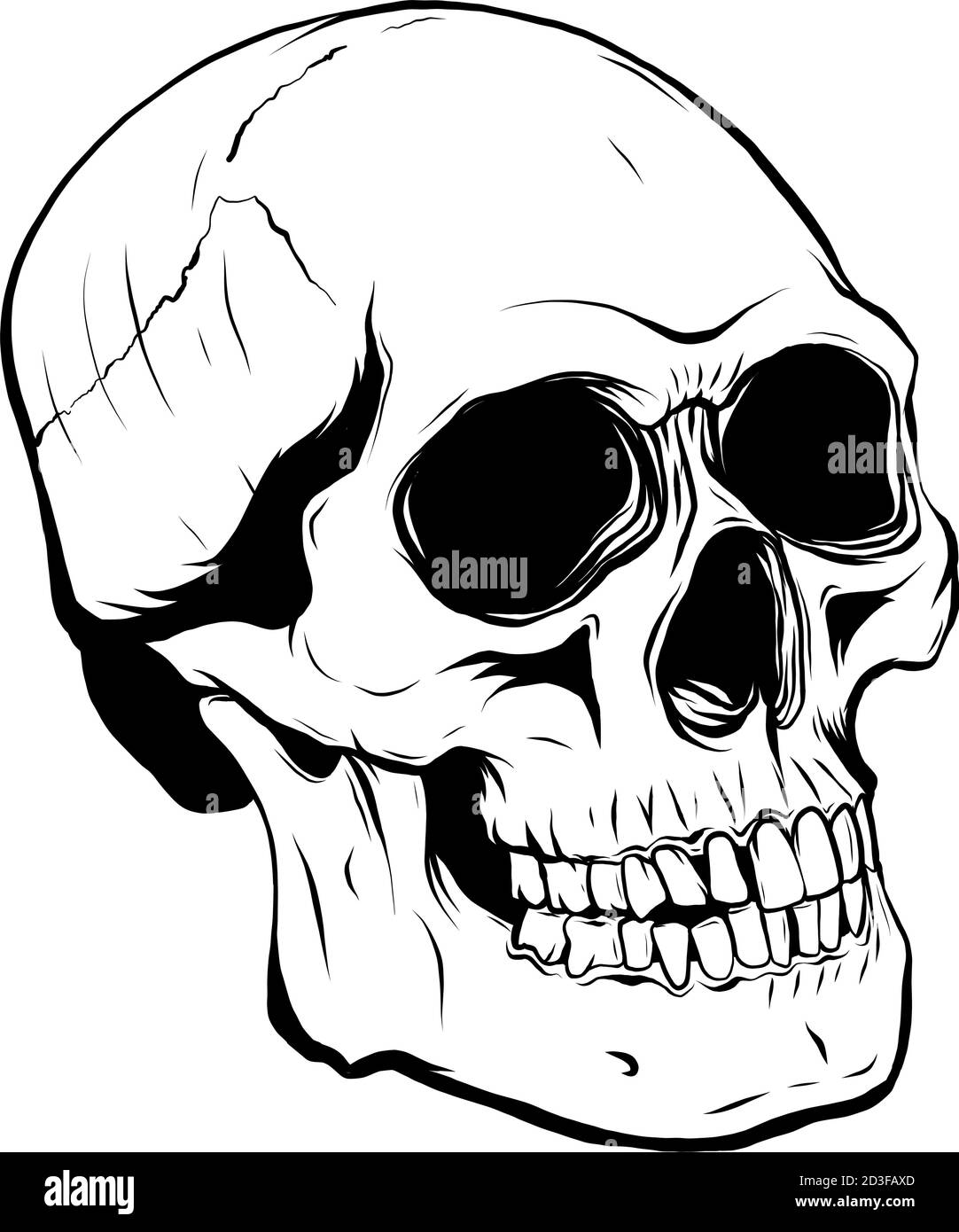 Human skull outline drawing Cut Out Stock Images & Pictures - Alamy