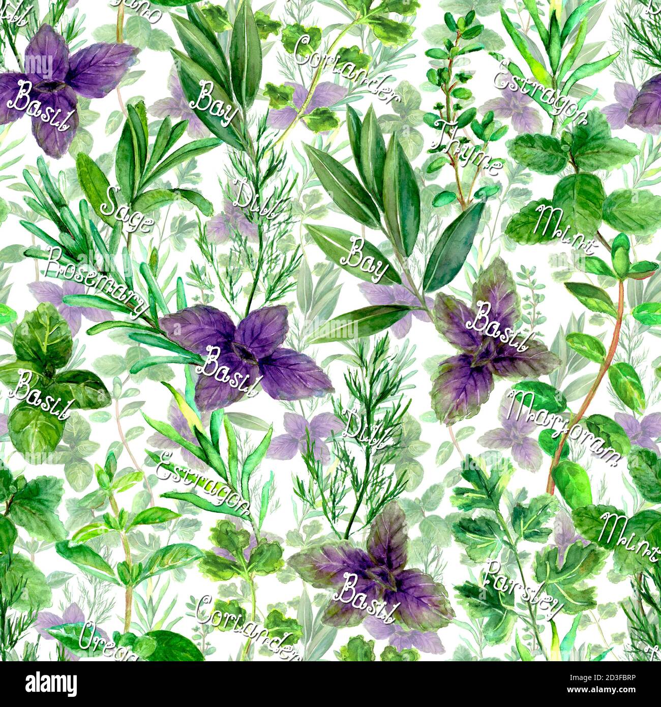 Green Spices Wallpaper