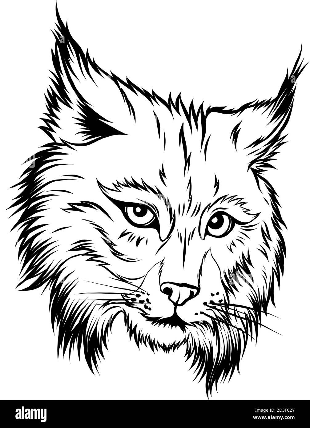 The illustration shows an angry bobcat face. The wild animal has sharp ...