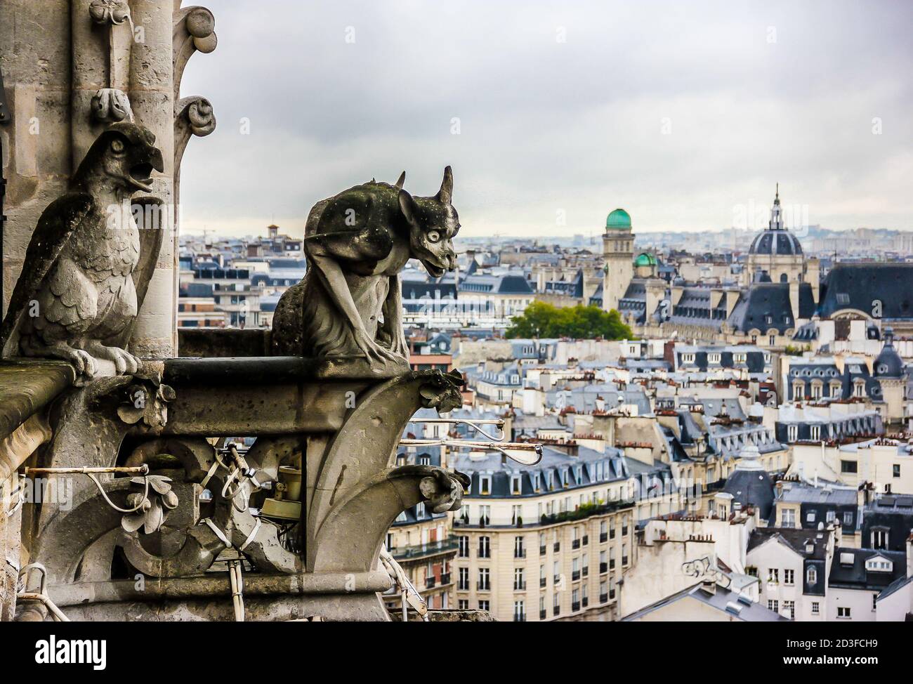Mythical creature gargoyle on cathedral Notre Dame de Paris. Cityscape ...