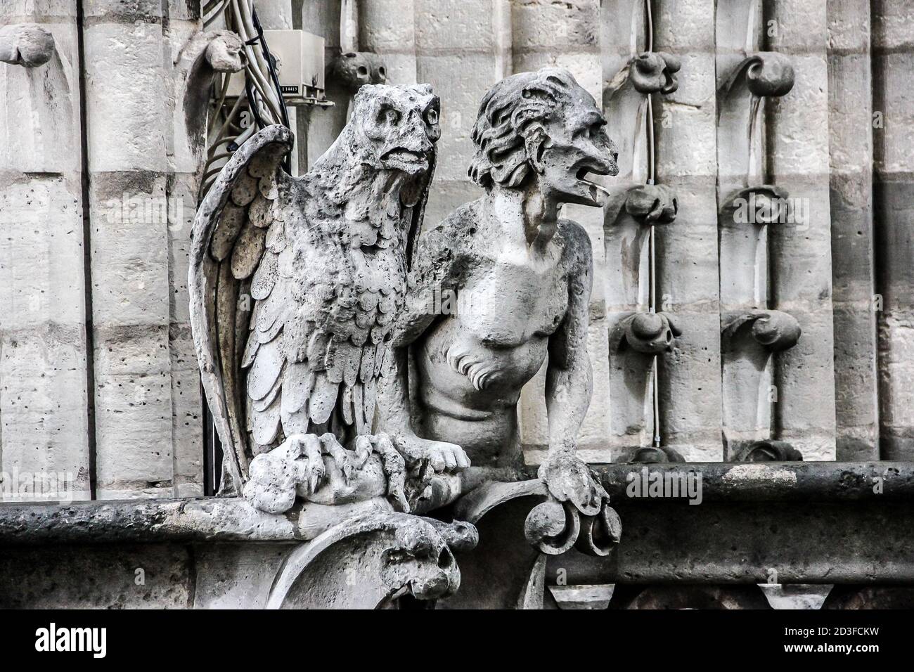 Mythical creature gargoyle on cathedral Notre Dame de Paris. France ...