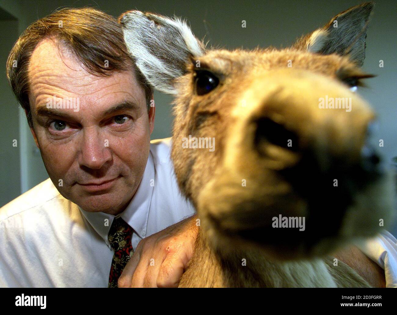 Australian native plan hi-res stock photography and images - Alamy