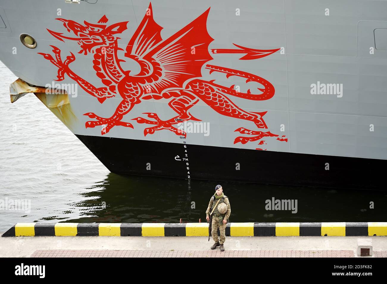 National Symbol Of Wales High Resolution Stock Photography and Images ...
