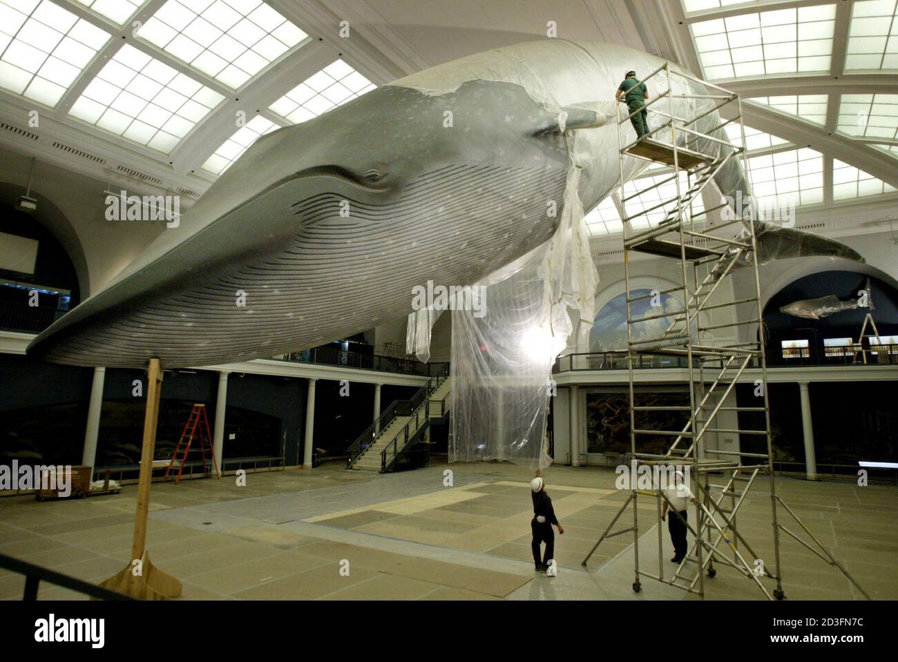 Ocean hall natural history museum hi-res stock photography and images ...