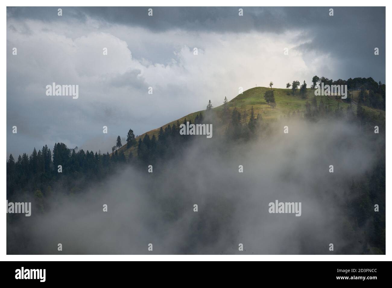 Beautiful foggy autumn scenery Cut Out Stock Images & Pictures - Alamy