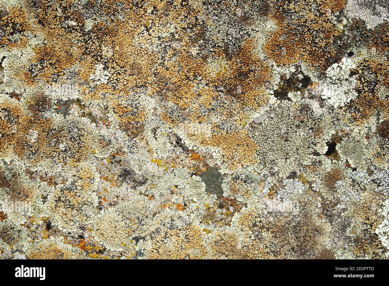 surface of old slate stone for background, texture Stock Photo - Alamy