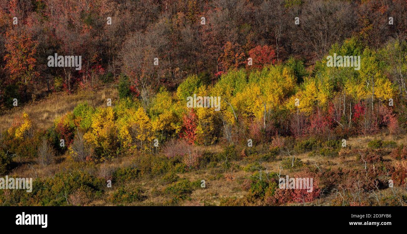 Fall colors, Alpine Loop, Uinta National Forest, Wasatch Mountains ...