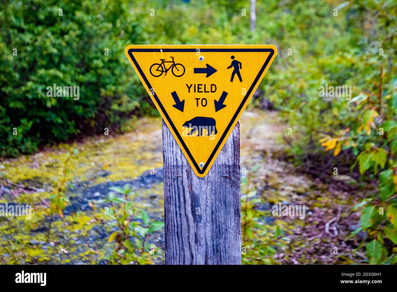 Caution bears sign hi-res stock photography and images - Alamy