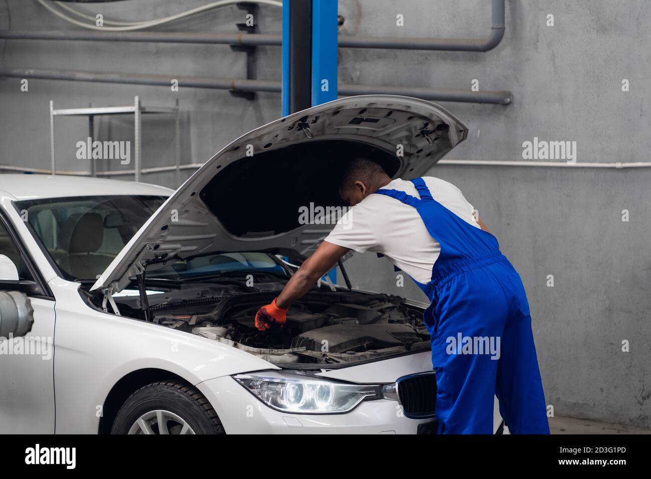 Man raised the hood of a car and inspects the engine Stock Photo - Alamy