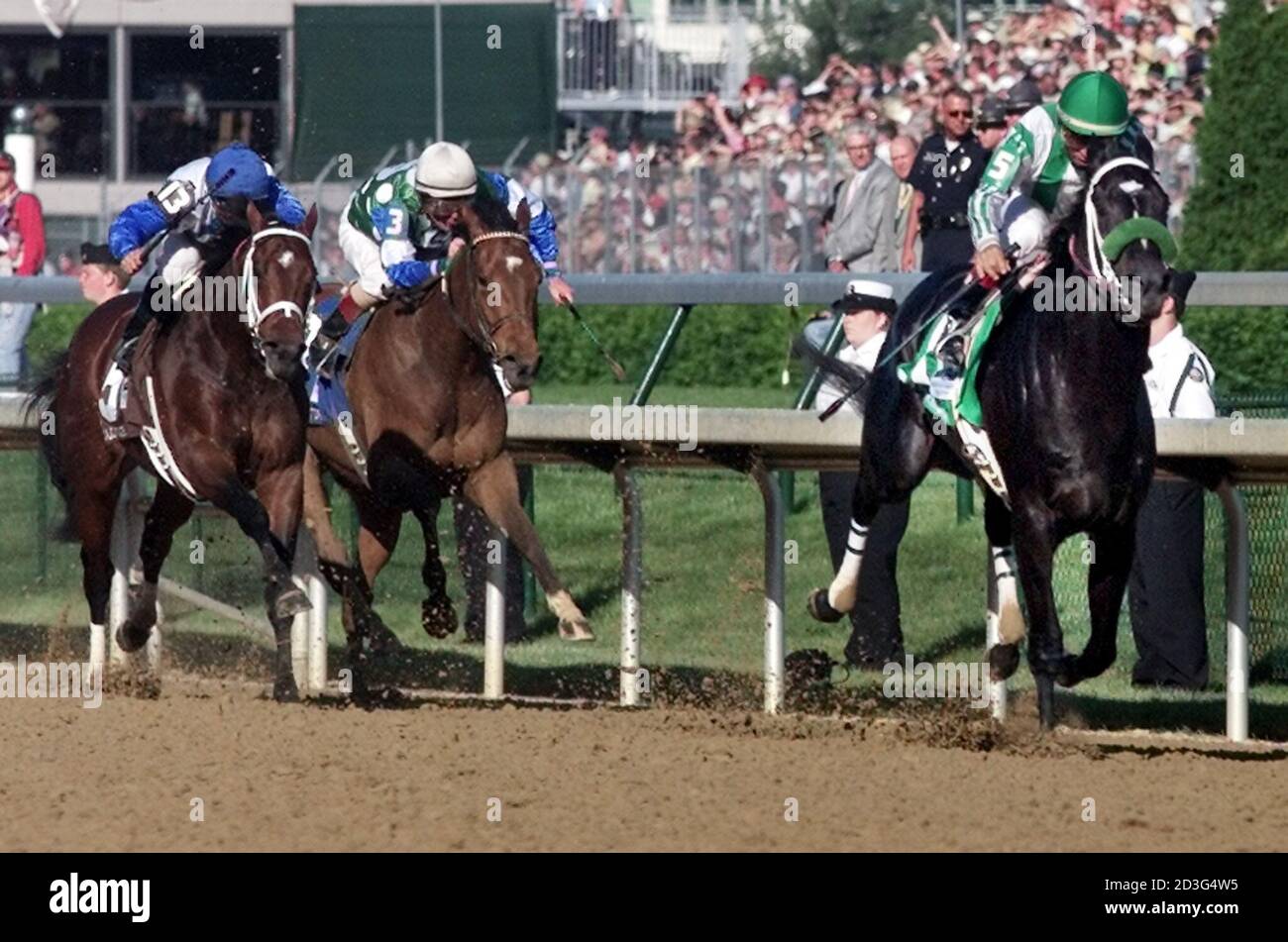 Wire horse hi-res stock photography and images - Alamy
