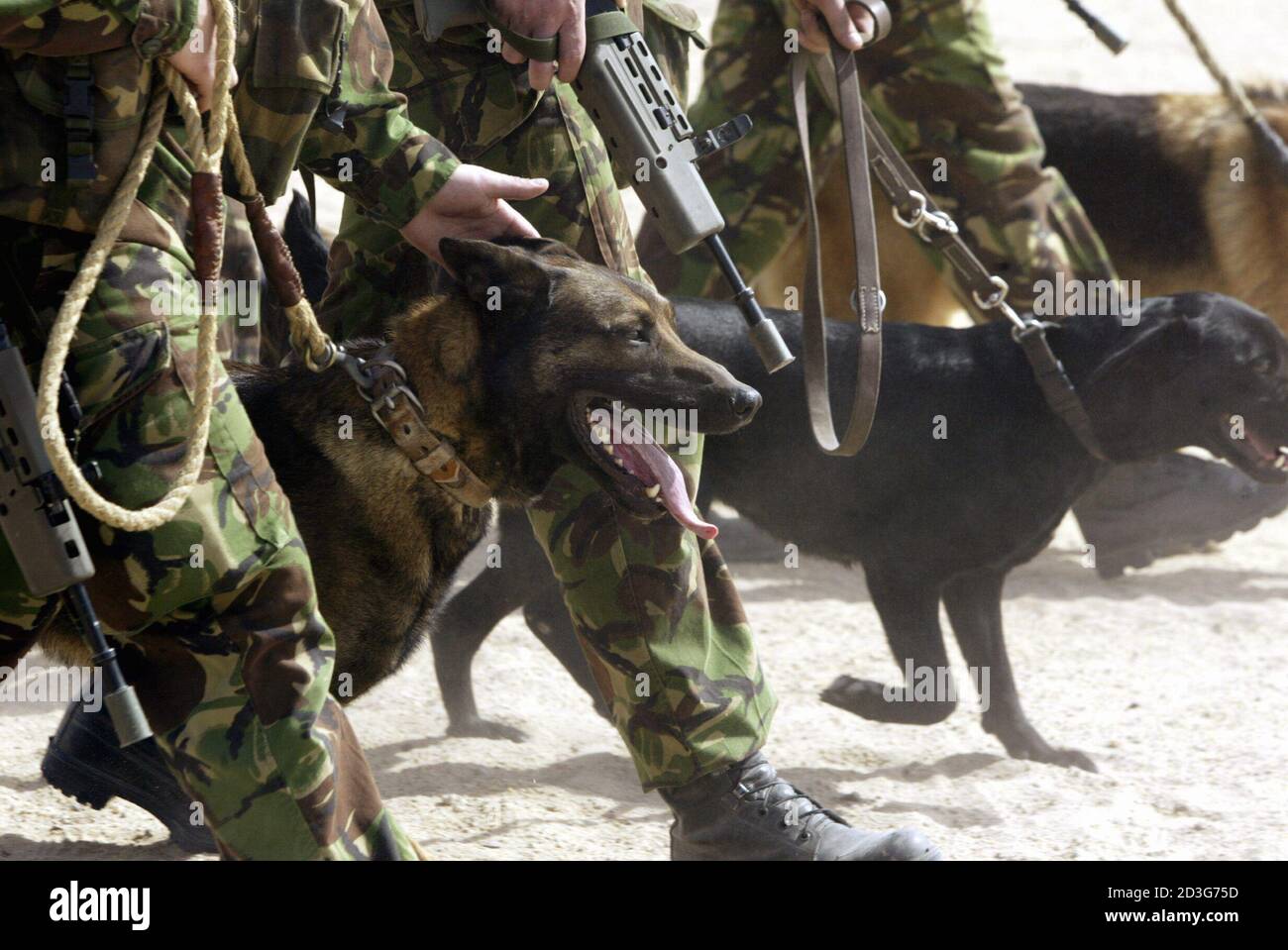 Veterinary corps hi-res stock photography and images - Alamy