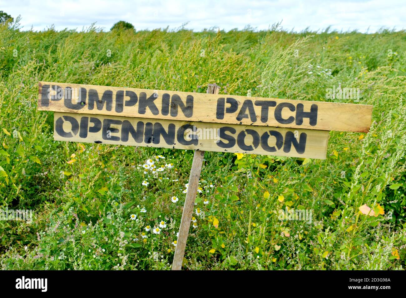 Opening soon banner hi-res stock photography and images - Alamy