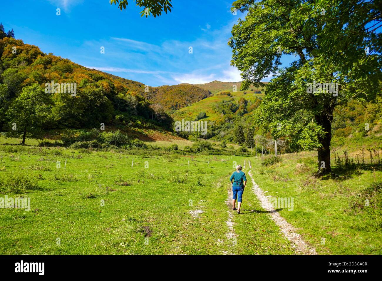 Female walker on parallel farm tracks hi-res stock photography and ...