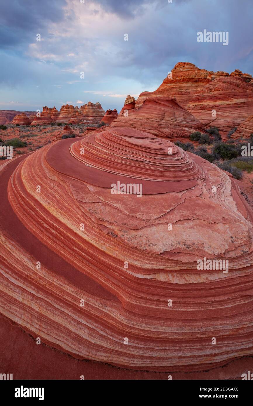 Layered sandstone, Vermilion Cliffs National Monument, Arizona Stock ...