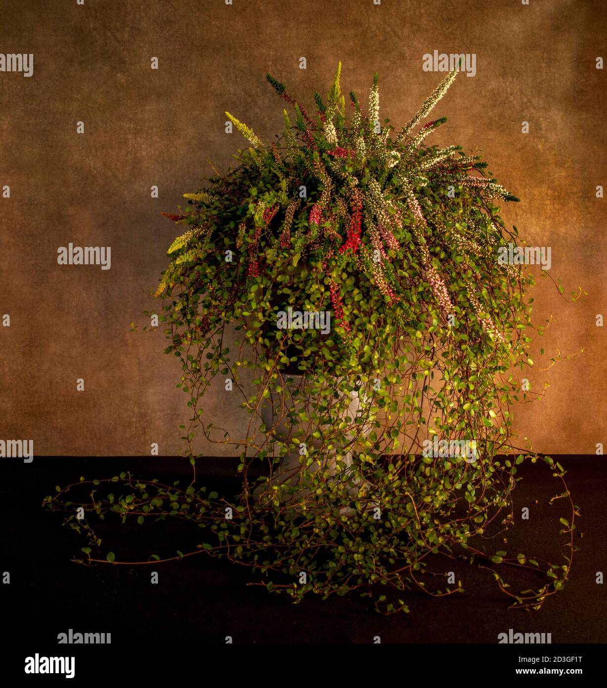 still life like a waterfall of flowers in a tall pot with heather and ...