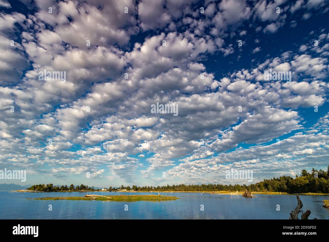 White puffy cumulus clouds cloud skies meteorology weather background ...